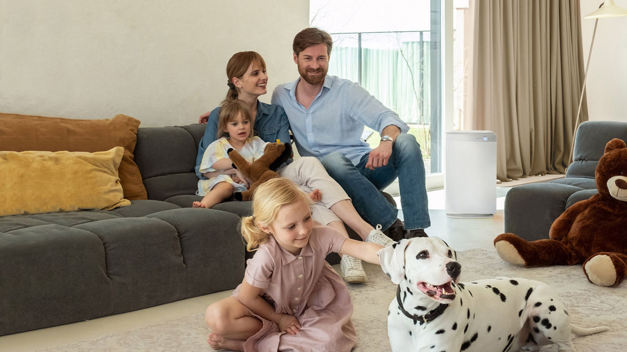 The Role of the One Stop Shop: A Fully-managed Home Energy Upgrade ...